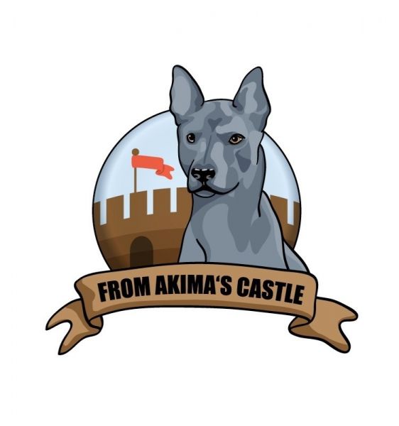 Akima Logo